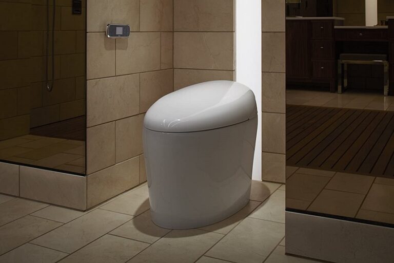 8 Best Modern Toilets: In-Detail Reviews (Winter 2024)
