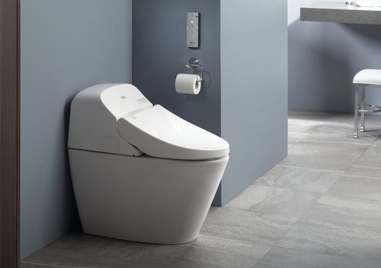 8 Best Modern Toilets: In-Detail Reviews (Winter 2024)