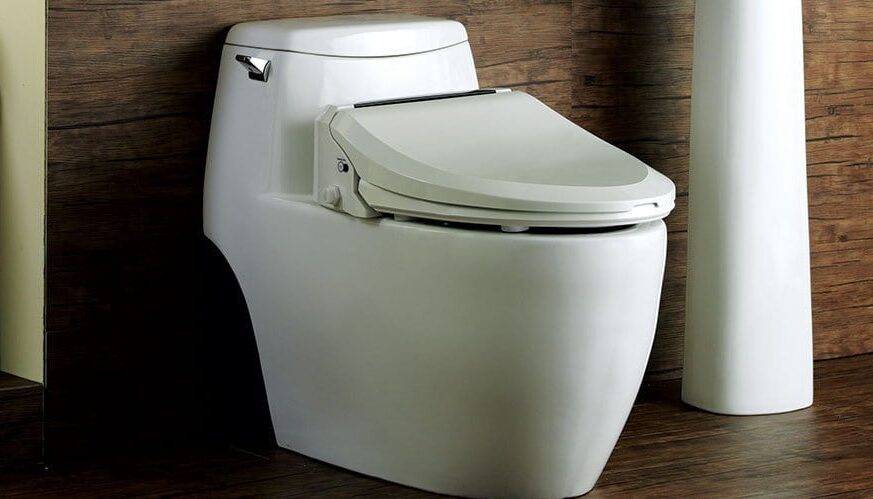 10 Best Smart Toilets: In-Detail Reviews (Sept. 2021)