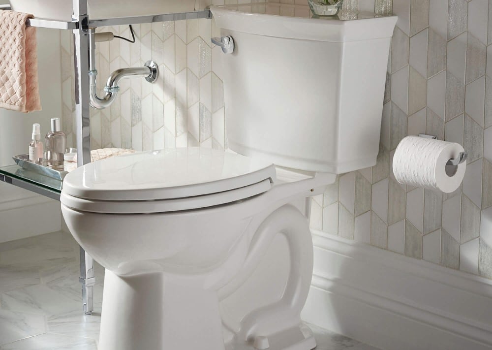 9 Types of Toilet Flush Systems: In-Detail Comparison